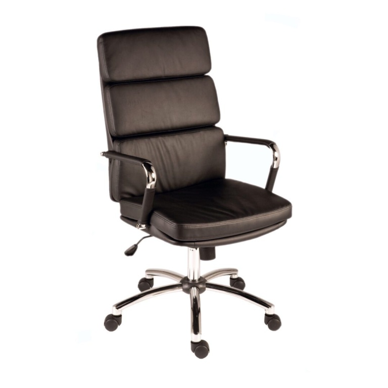 Burro Executive Office Chair Black